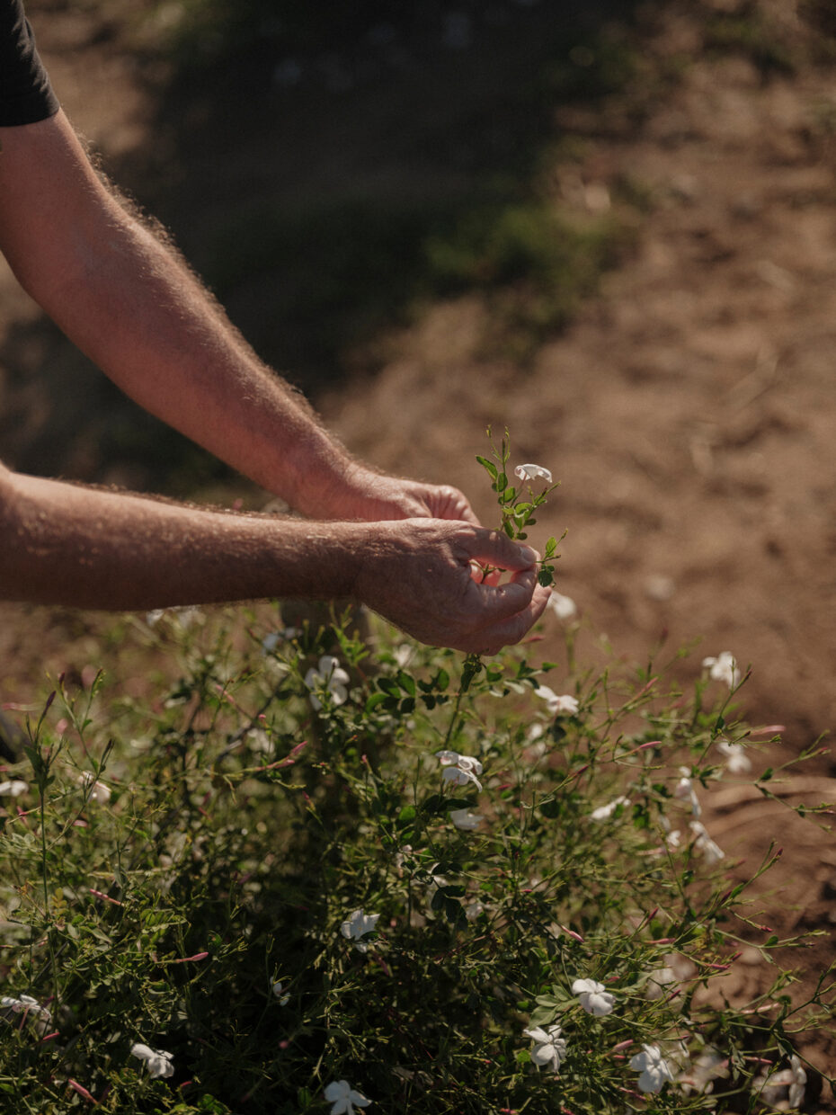 A Day In The Fields of Chanel | Wonderflaw